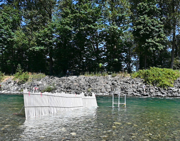 ARIS (Sonar) Project: Conservation, Guardianship, and Harvest Program ...